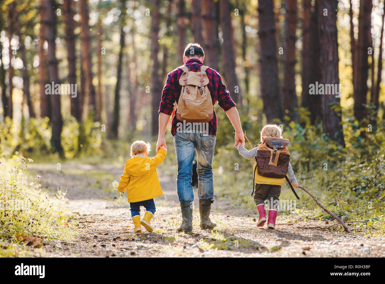 A rear view of father with toddler children walking in an autumn forest ...