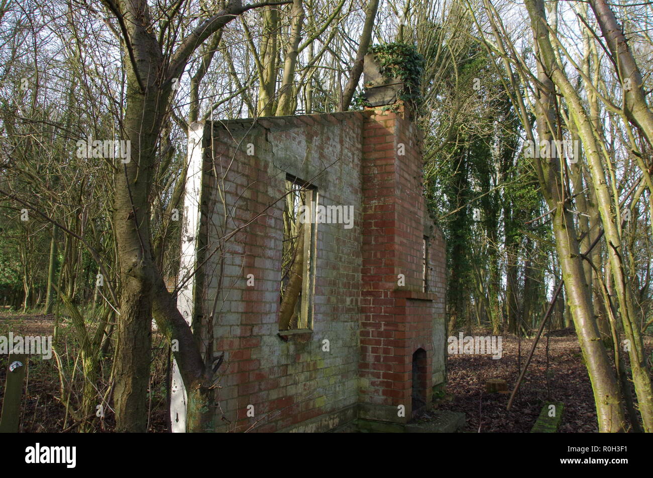 Raf chipping warden hi-res stock photography and images - Alamy