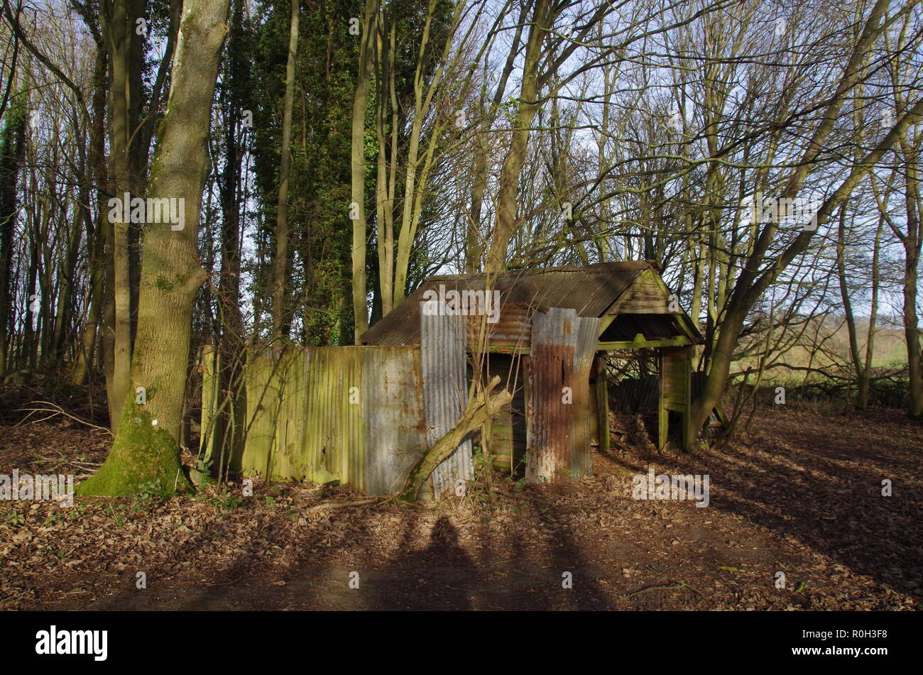 Raf chipping warden hi-res stock photography and images - Alamy