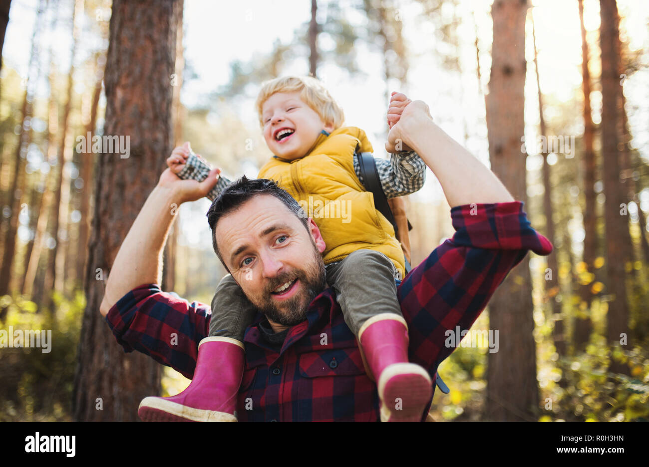 A mature father giving a toddler son a piggyback ride in an autumn ...