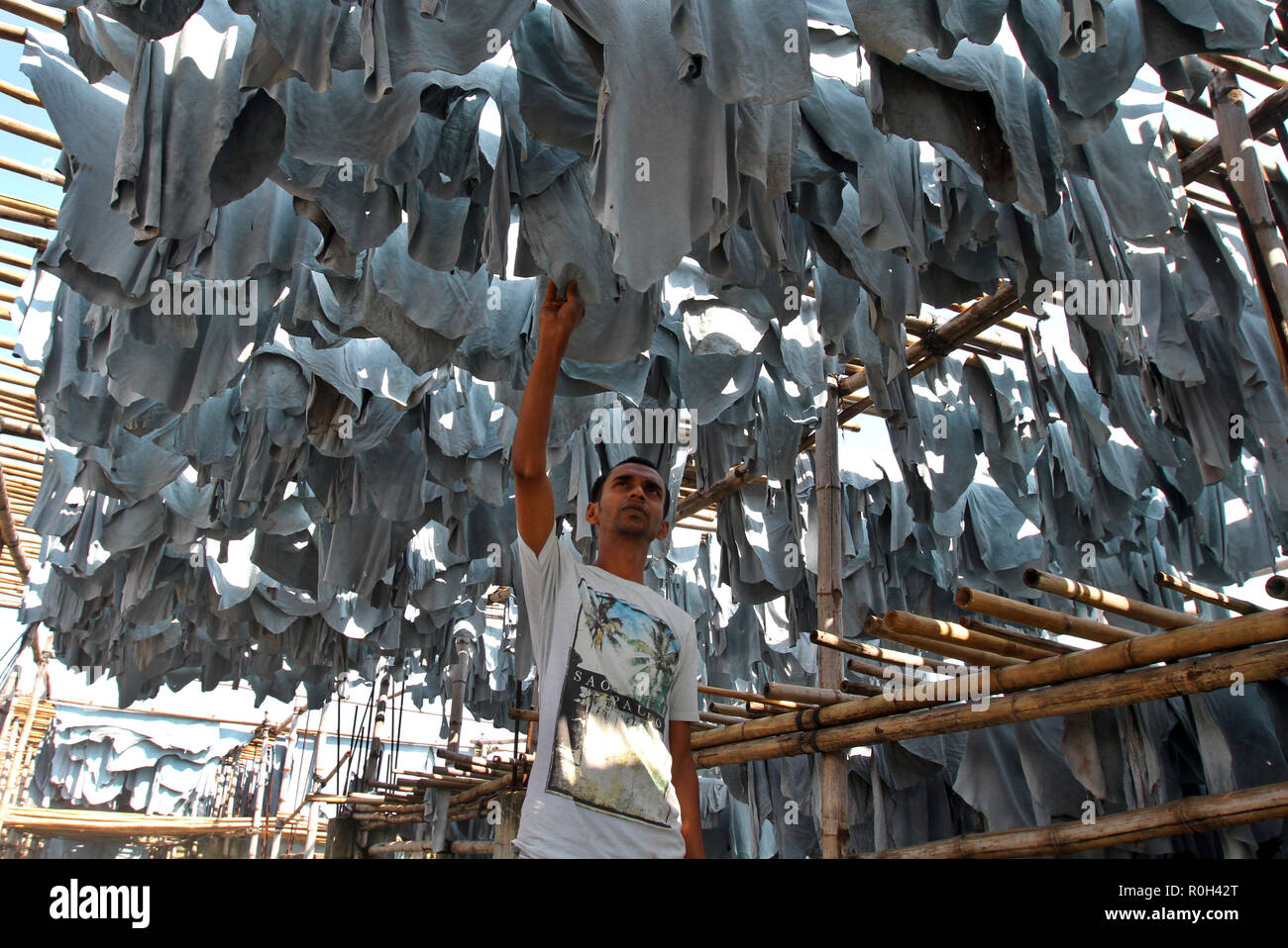 Dhaka, Bangladesh - October 30, 2014: Processed lather dries under the ...