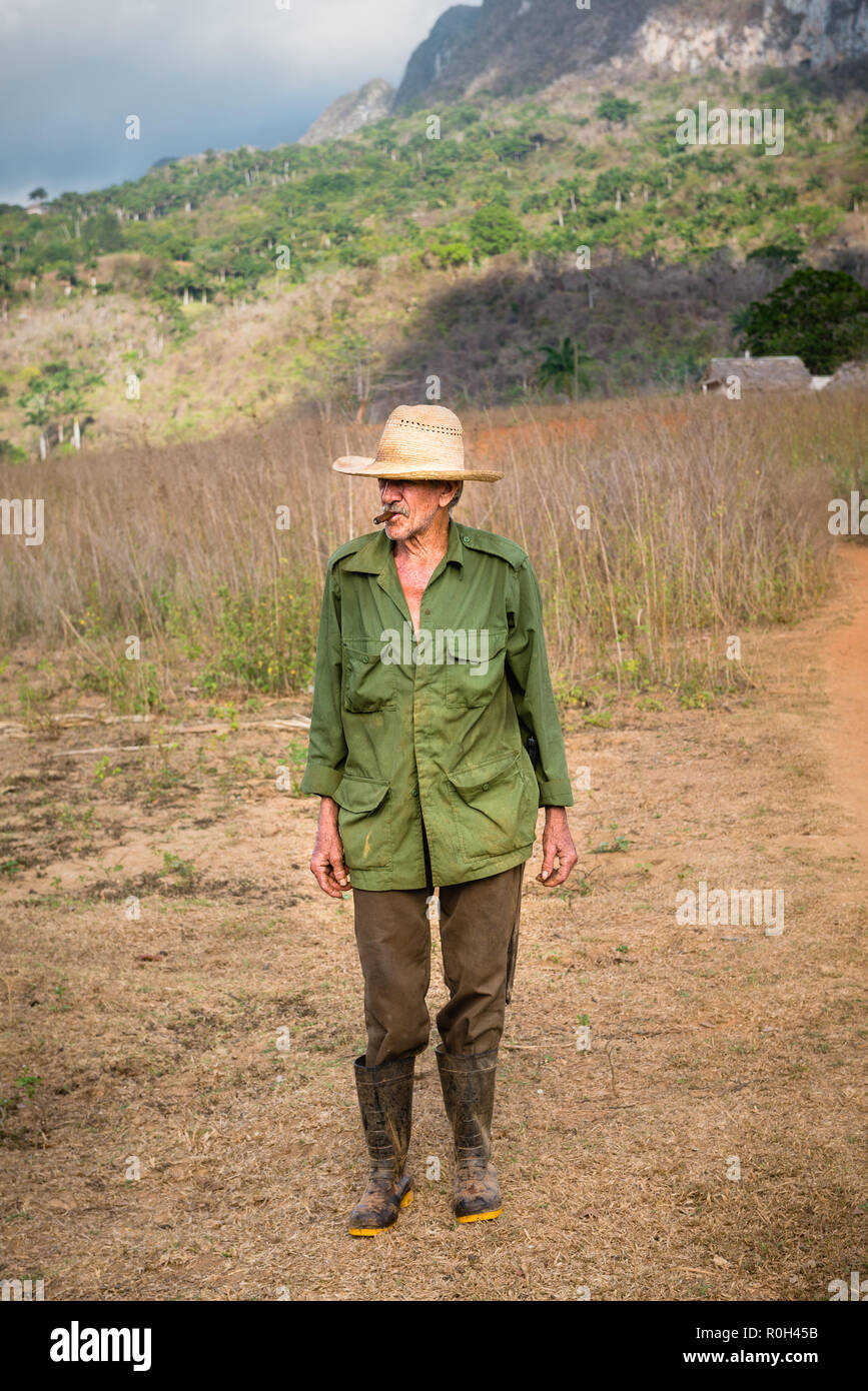 Portrait of Cuban farmer at work in Vinales Stock Photo - Alamy