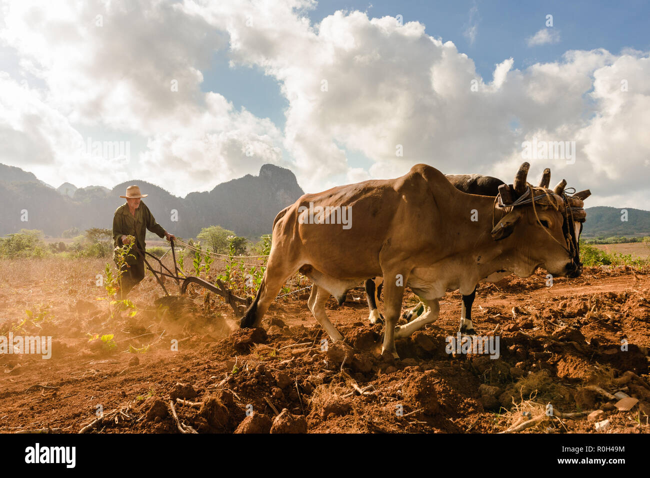 Man Pulling Plough High Resolution Stock Photography and Images - Alamy