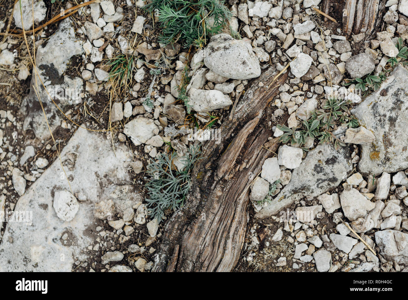 dark detailed gray stone background close up Stock Photo - Alamy