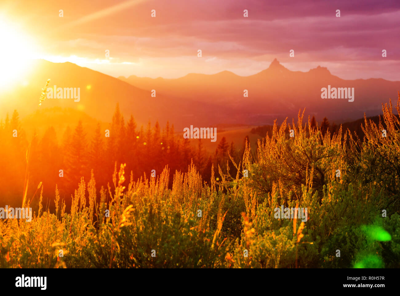 Scenic Sunset in the mountains in fall season Stock Photo - Alamy