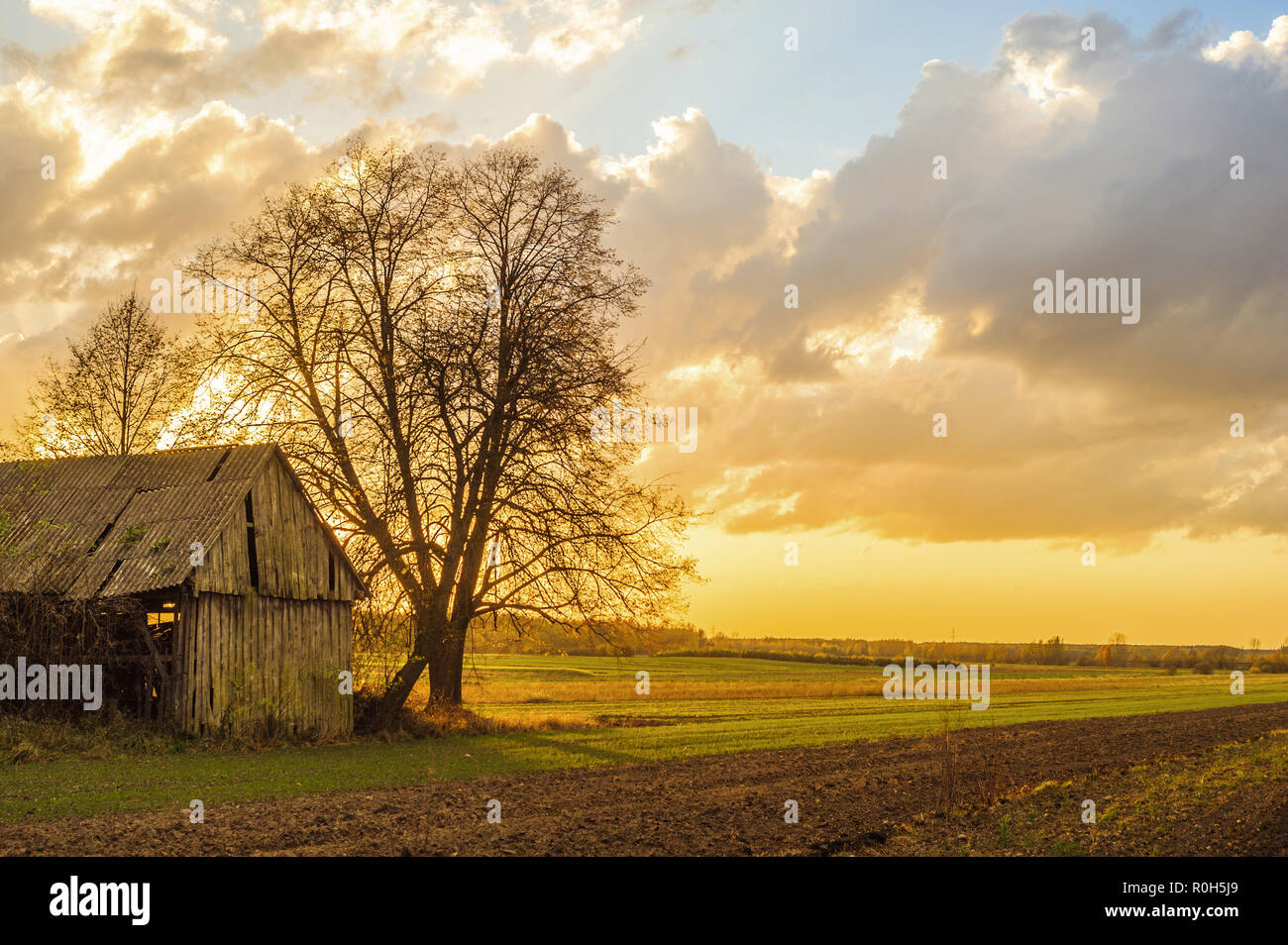 Golden hour barn hi-res stock photography and images - Alamy