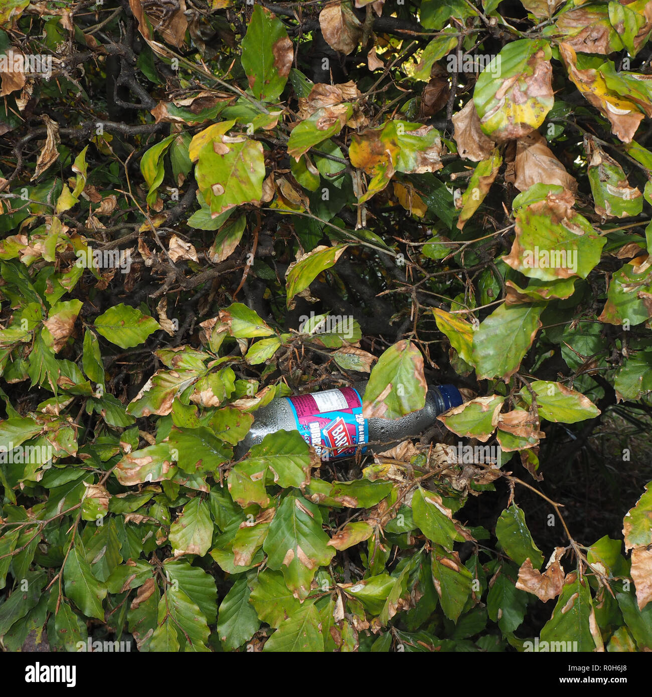 Coke cans space hi-res stock photography and images - Alamy