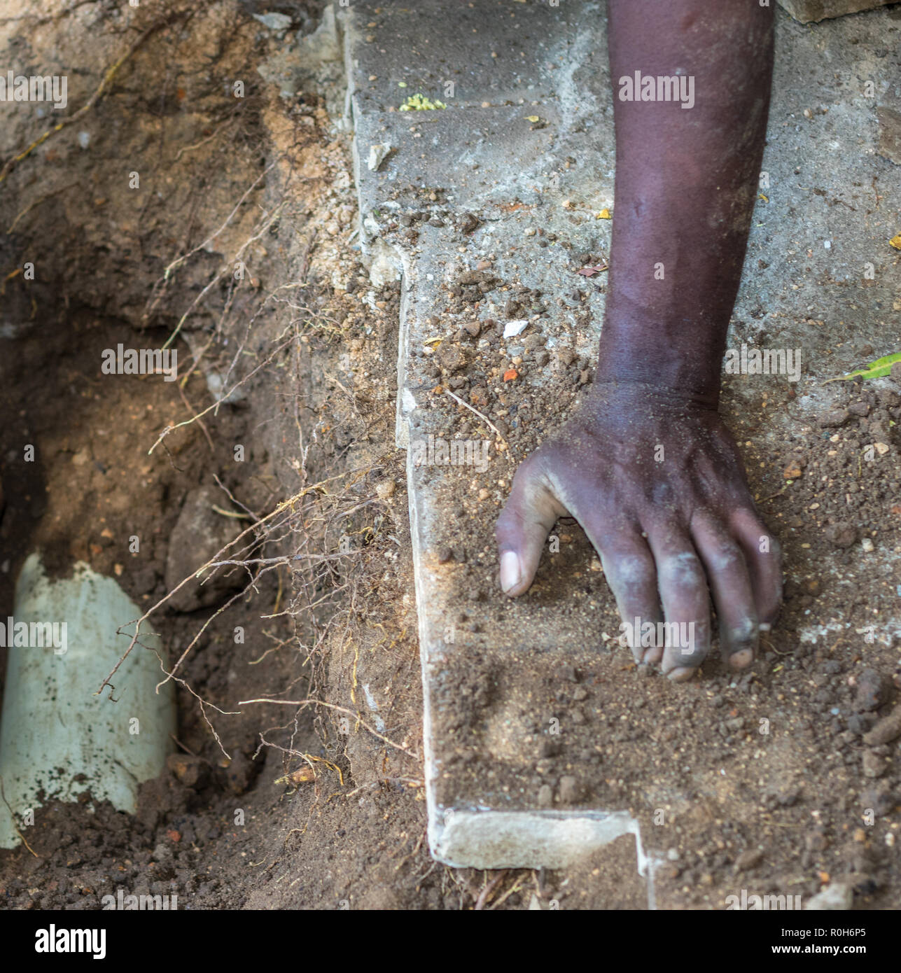 Black hands doing manual labor digging in the soil image with copy ...