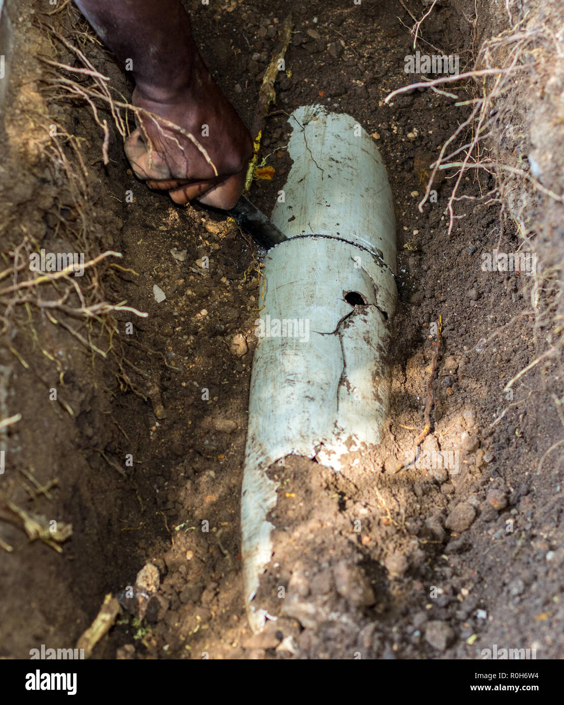 Manual Labor Stock Photos & Manual Labor Stock Images - Alamy