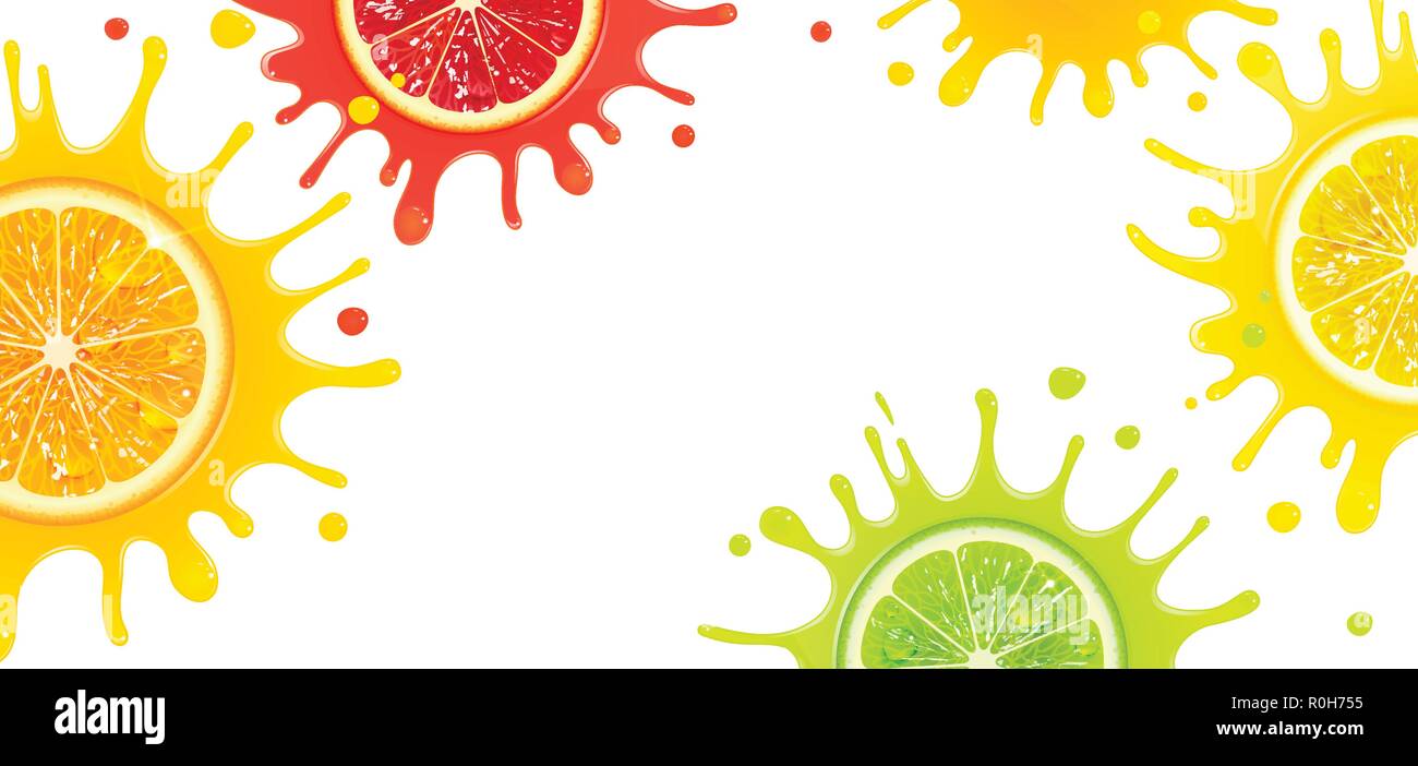 Summer banner citrus fruits Stock Vector Images - Alamy