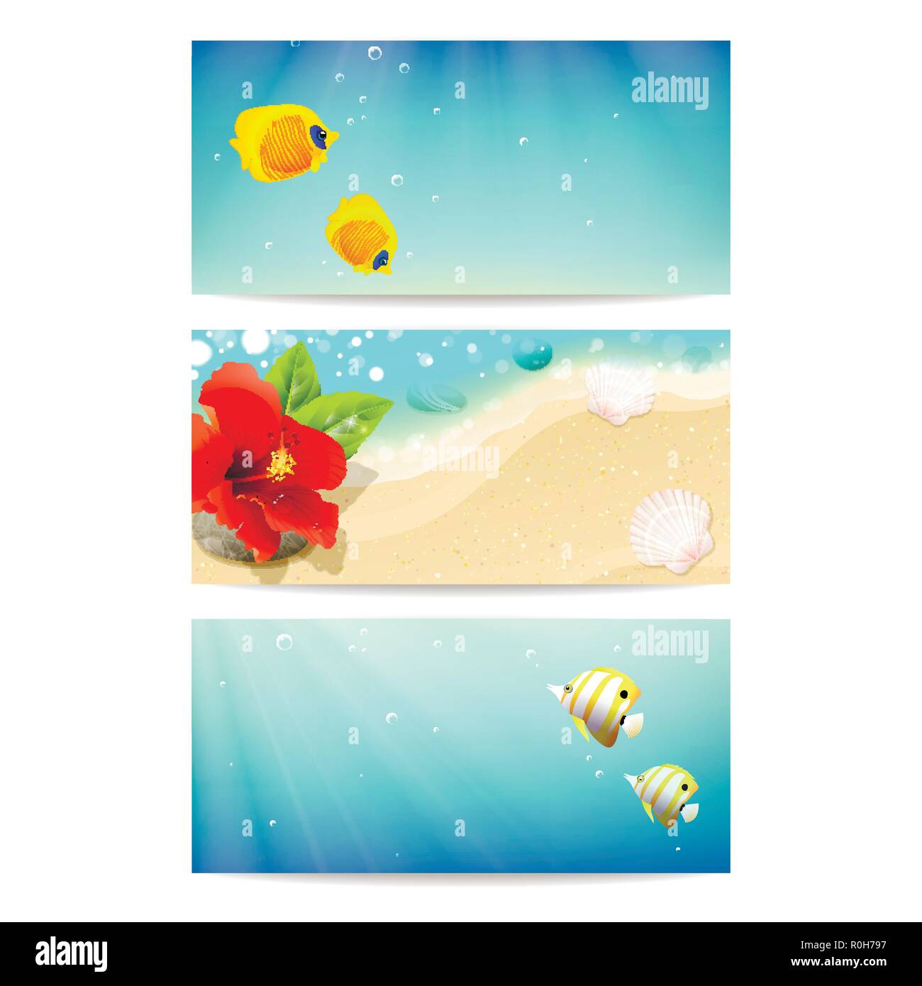 banners with sea, beach, coral fishes and red hibiscus Stock Vector ...
