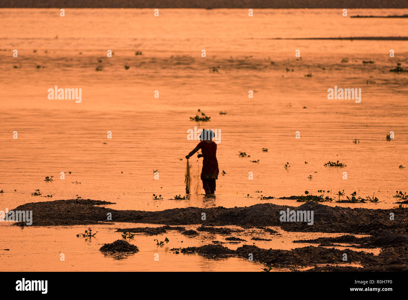 Asian Woman fishing in the river. silhouette at sunset. Village life in ...