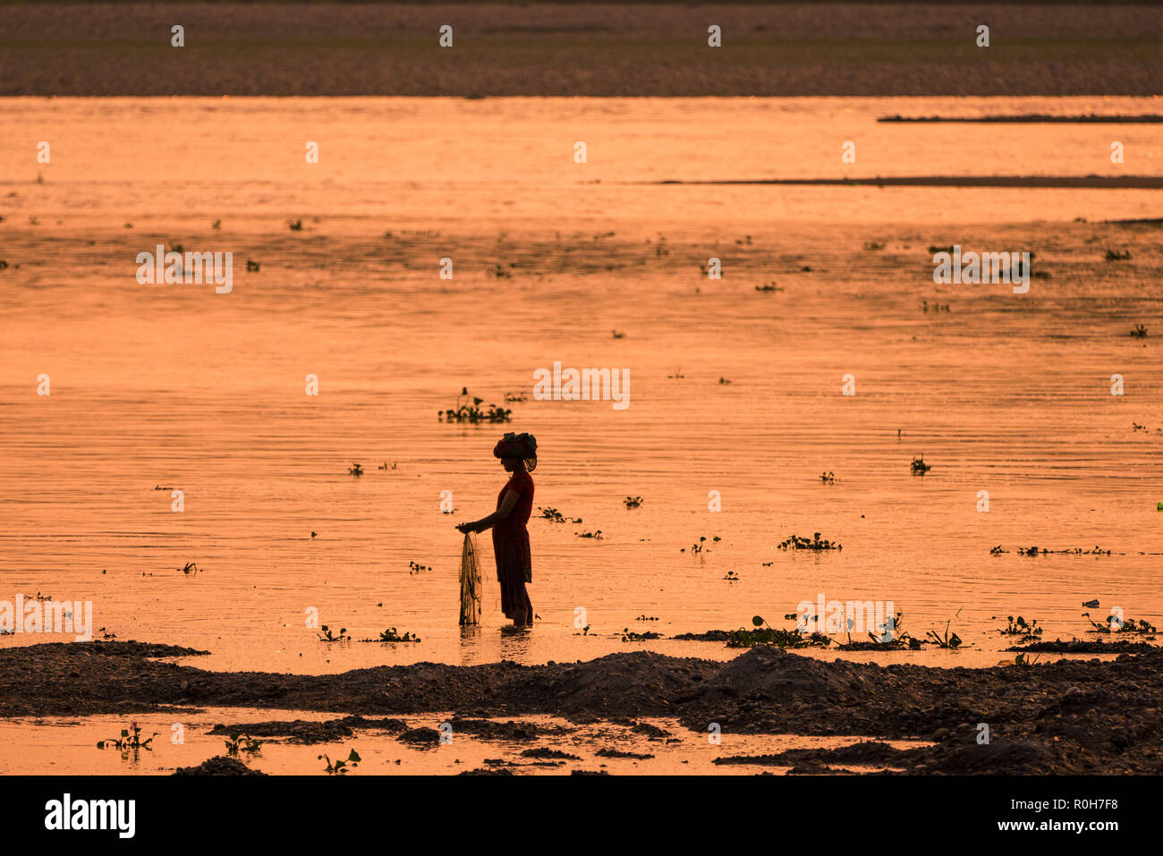 Asian Woman fishing in the river. silhouette at sunset. Village life in ...