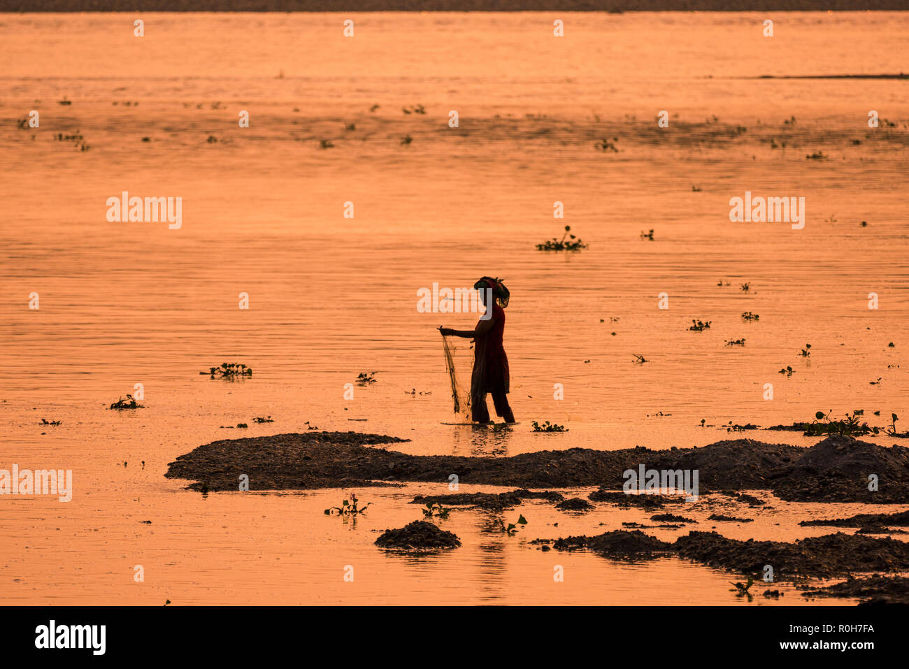 Asian Woman fishing in the river. silhouette at sunset. Village life in ...