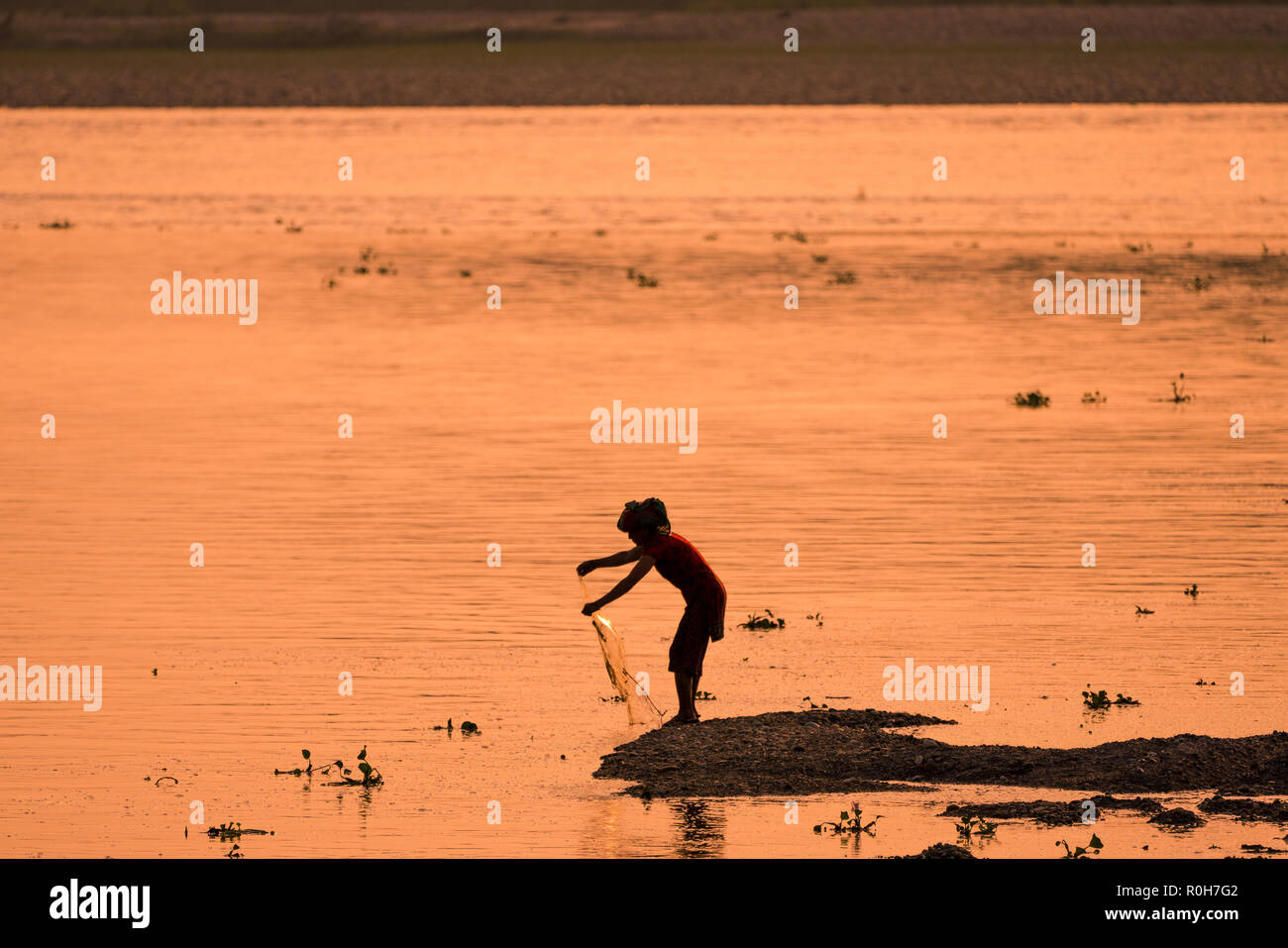 Asian Woman fishing in the river. silhouette at sunset. Village life in ...