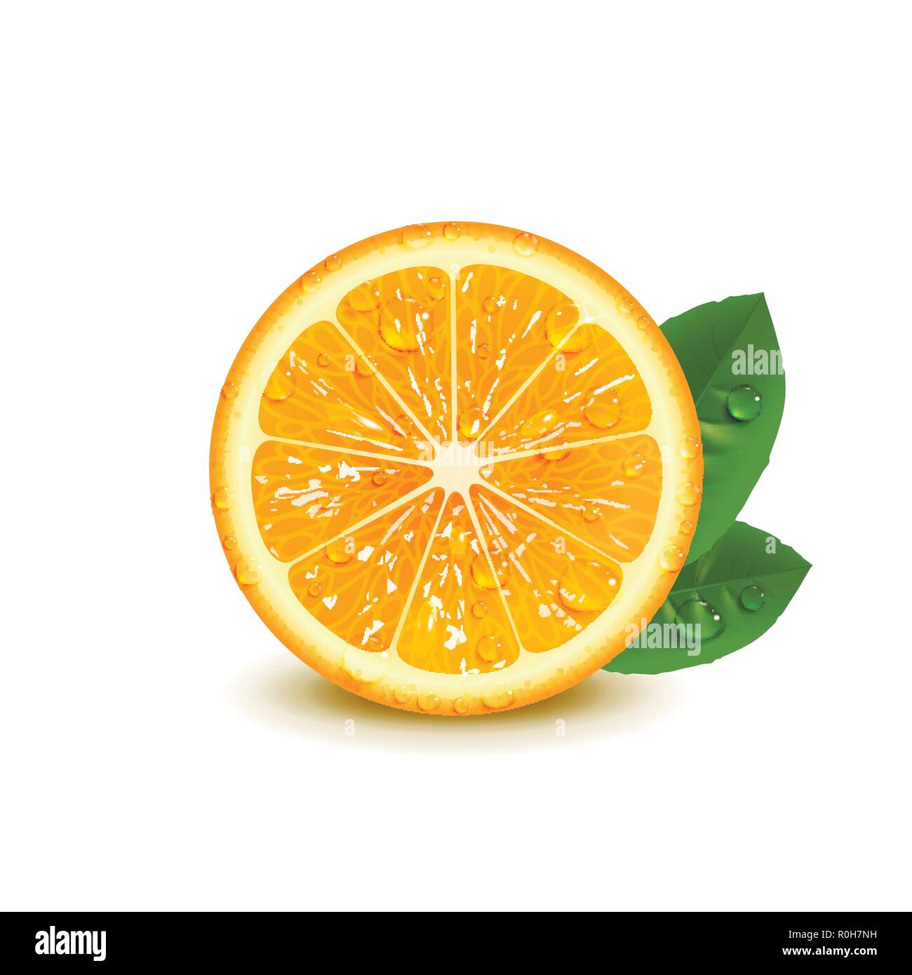 Ripe orange fruits leaves Stock Vector Images - Alamy