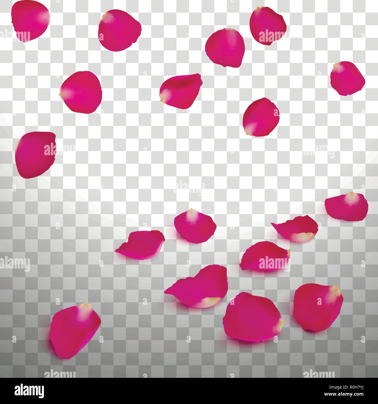 pink rose petals on a transparent background Stock Vector Image & Art ...