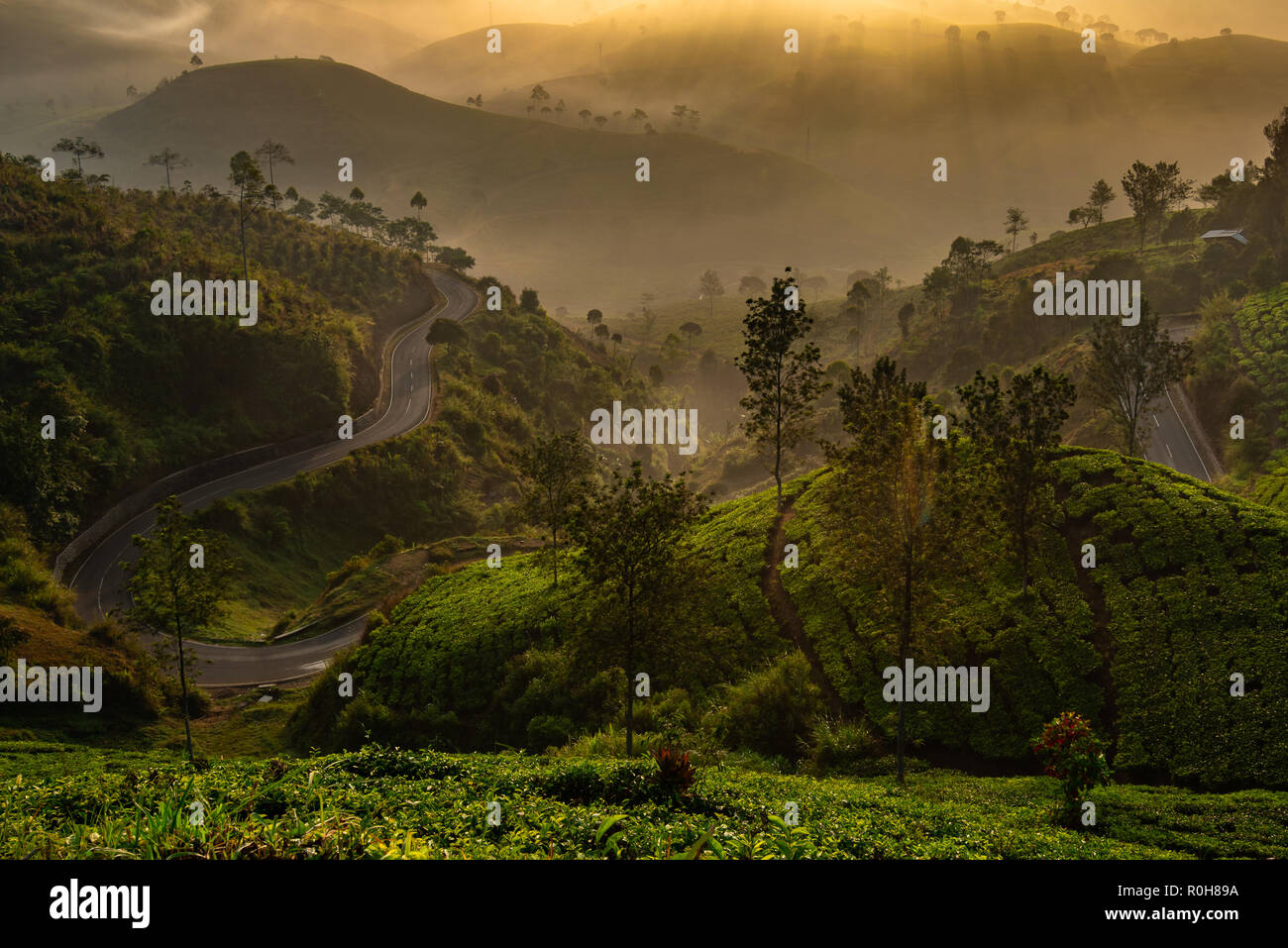 Java point hi-res stock photography and images - Alamy