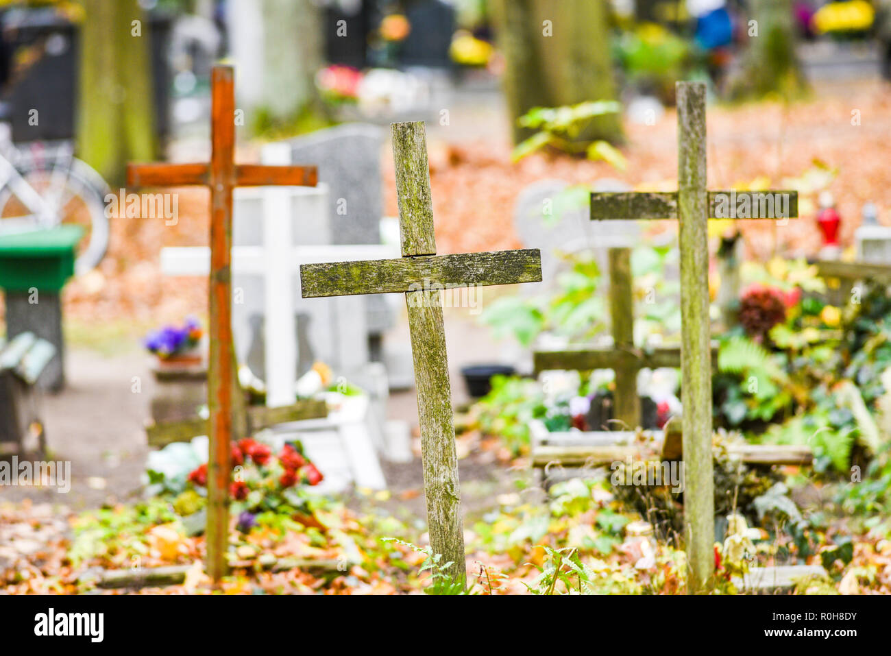 Old wooden crosses in a catholic cemetery Stock Photo - Alamy