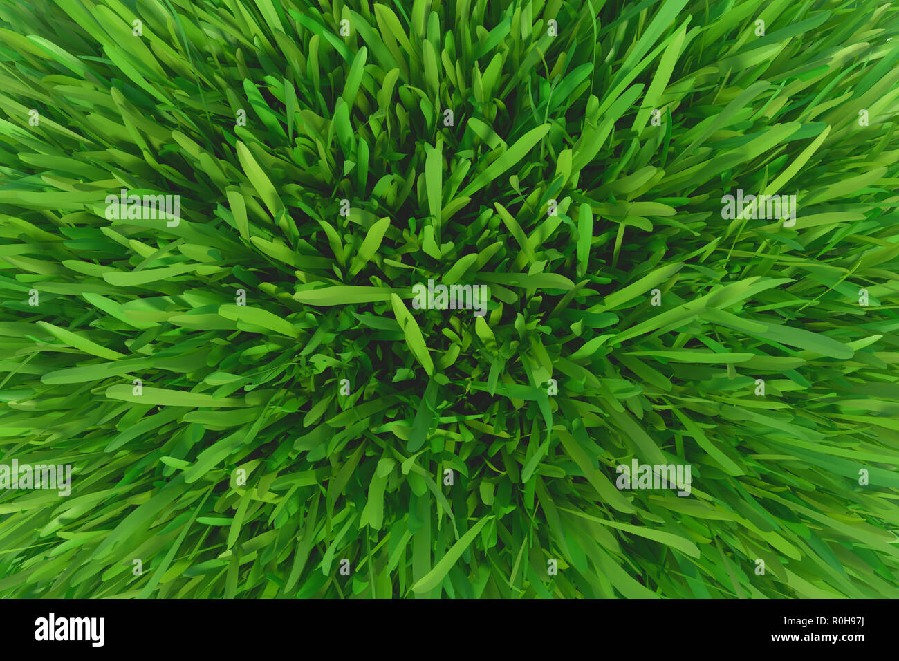 Green grass background. Natural background. Top view. 3d rendering ...
