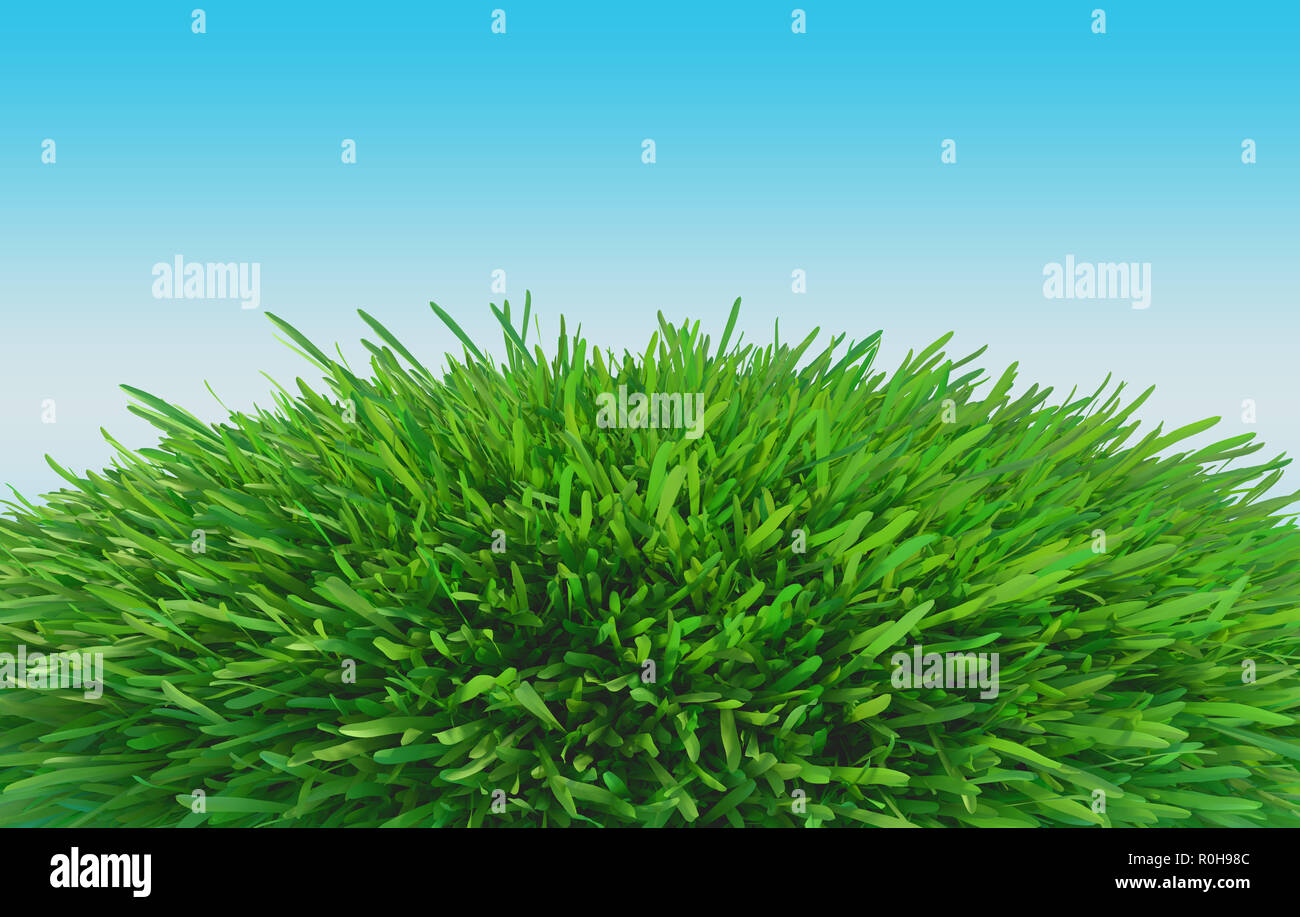 Green grass. Natural grass texture pattern background. Meadow. Spring ...