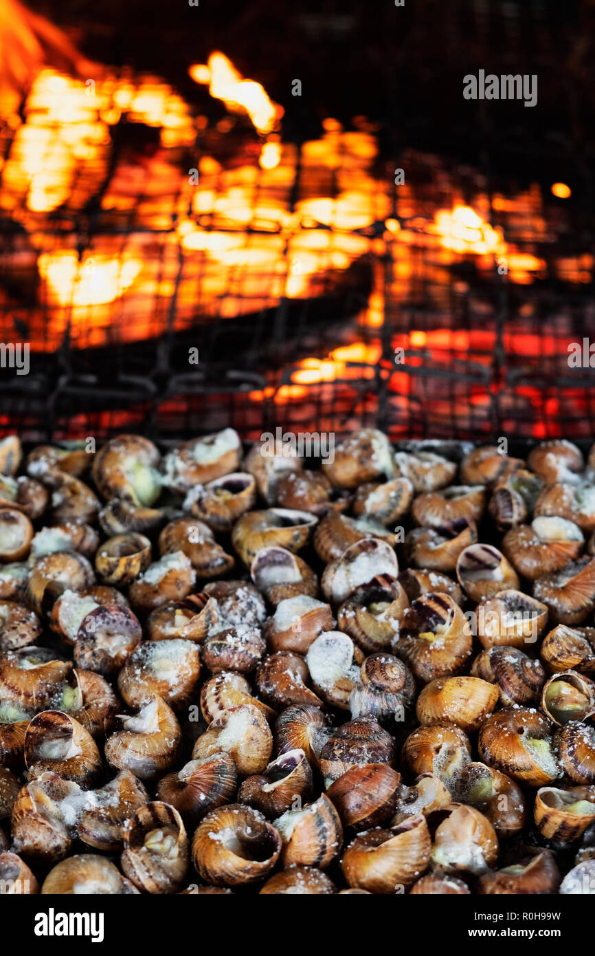 closeup of a tray of caragols a la llauna, a recipe of snails typical ...