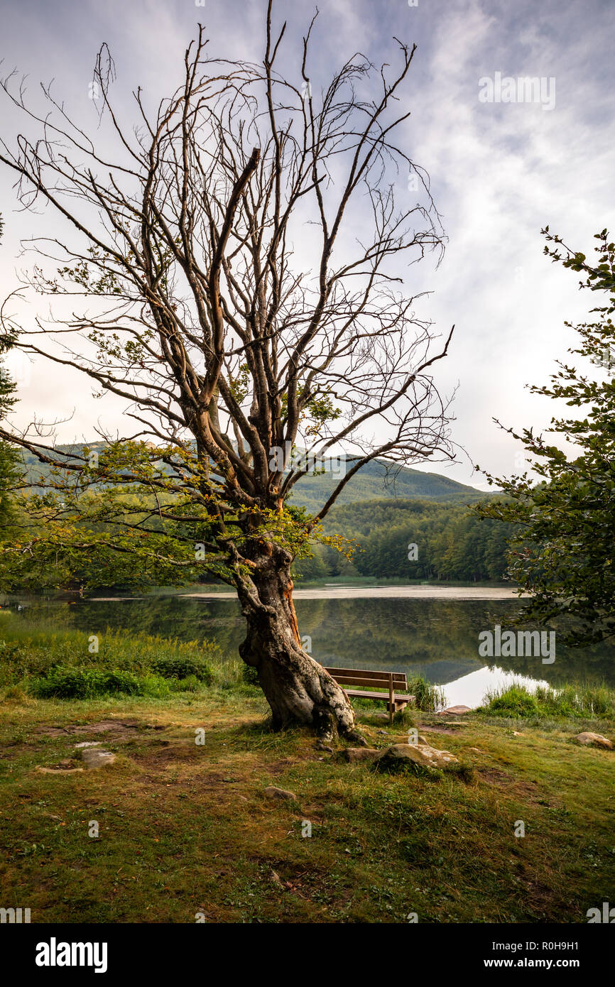 Lonely environment hi-res stock photography and images - Alamy
