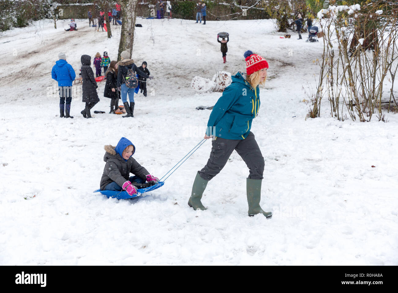 People sledging in park, Abergavenny, Wales, UK Stock Photo - Alamy