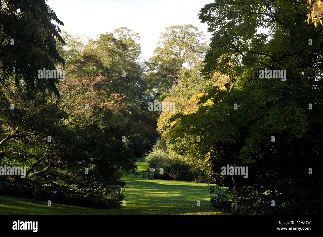 Vibrant autumn colours Stock Photo - Alamy