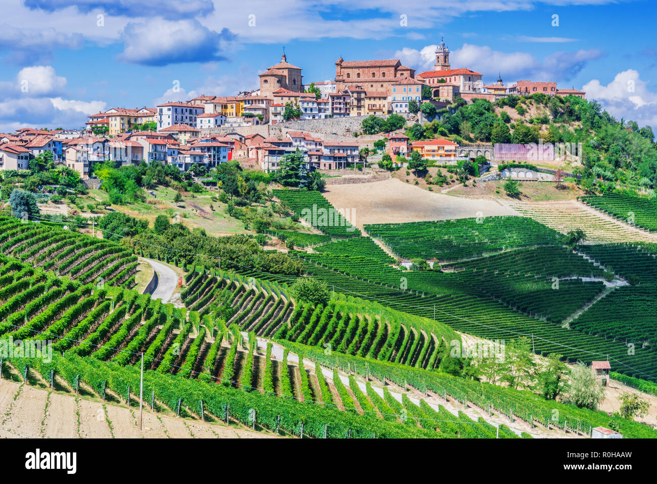La morra comune hi-res stock photography and images - Alamy