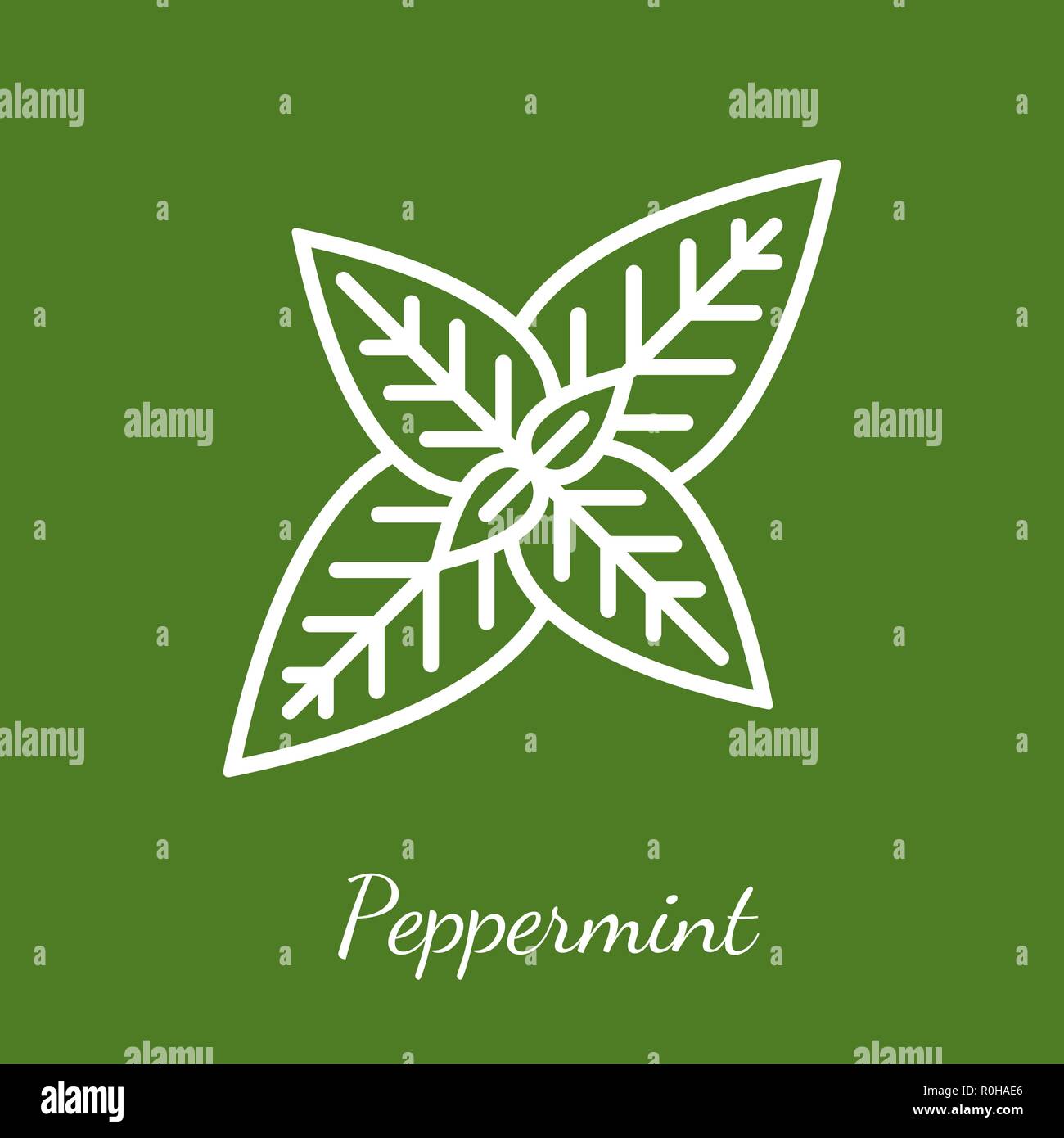 Peppermint leaves icon. Flavoring spices vector symbol Stock Vector ...
