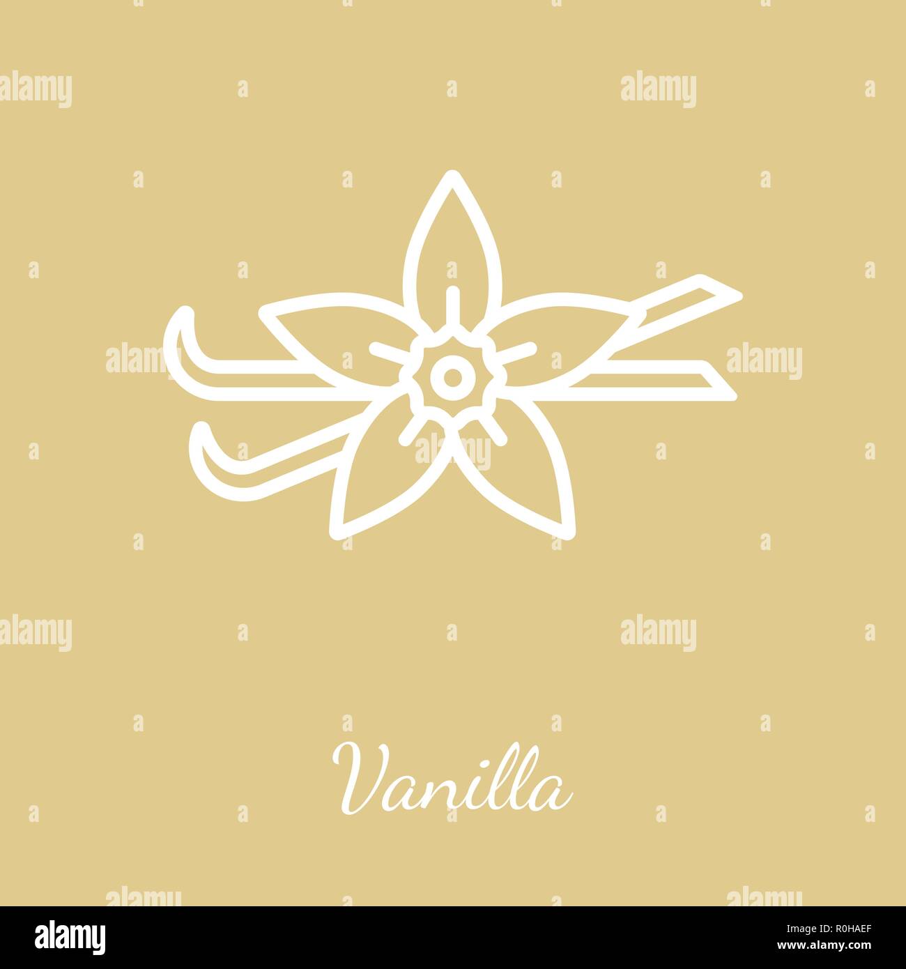 Vanilla flower vector hi-res stock photography and images - Alamy