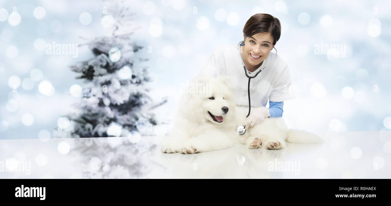 Merry Christmas from veterinary, vet clinic with veterinarian and dog ...