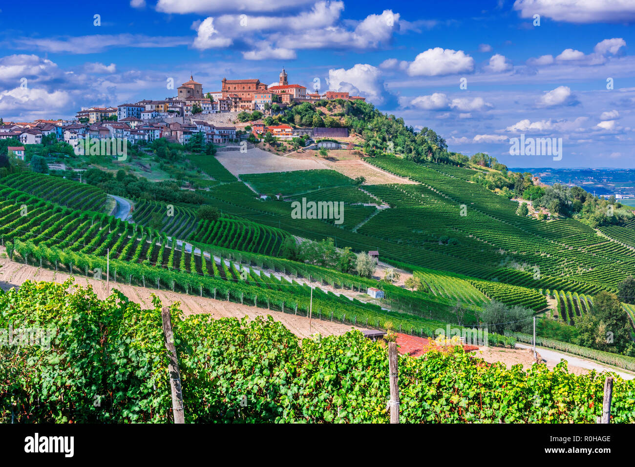 La morra comune hi-res stock photography and images - Alamy