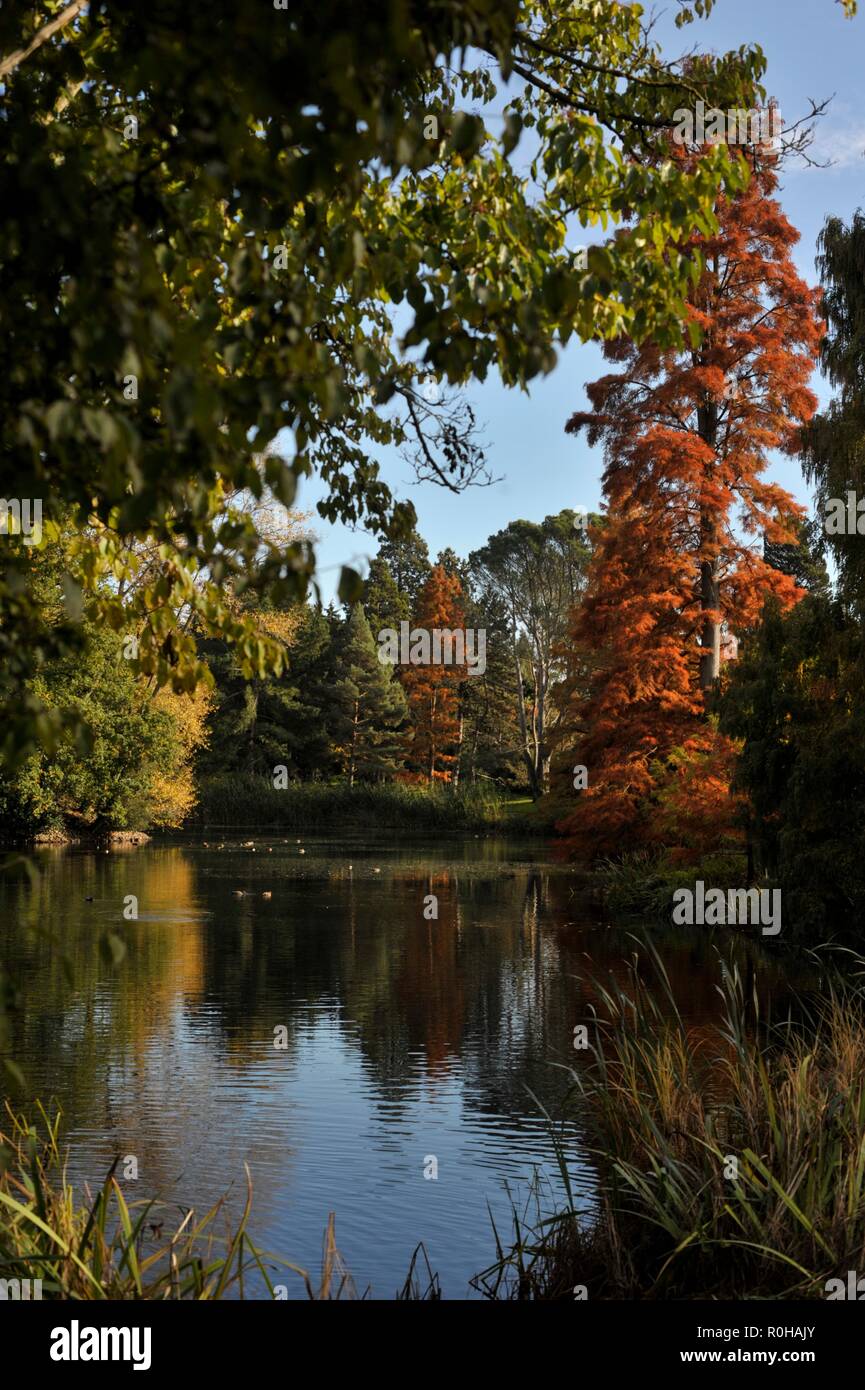 Vibrant autumn colours Stock Photo - Alamy