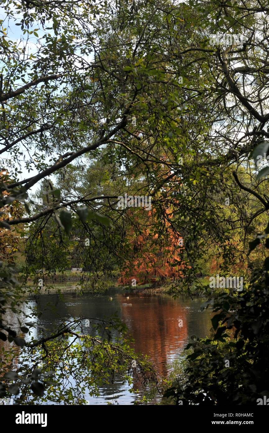 Vibrant autumn colours Stock Photo - Alamy