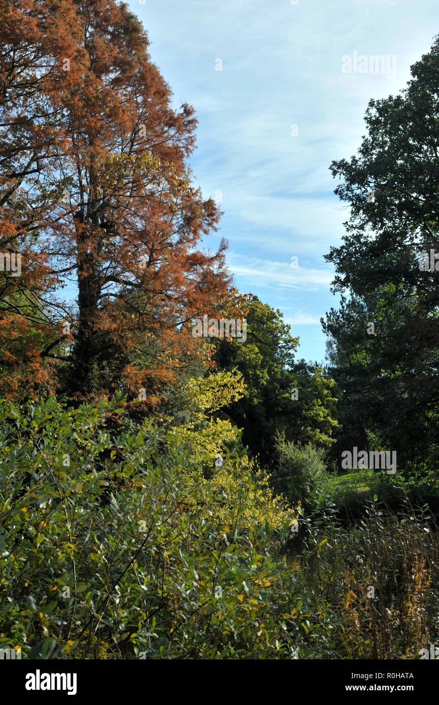 Vibrant autumn colours Stock Photo - Alamy