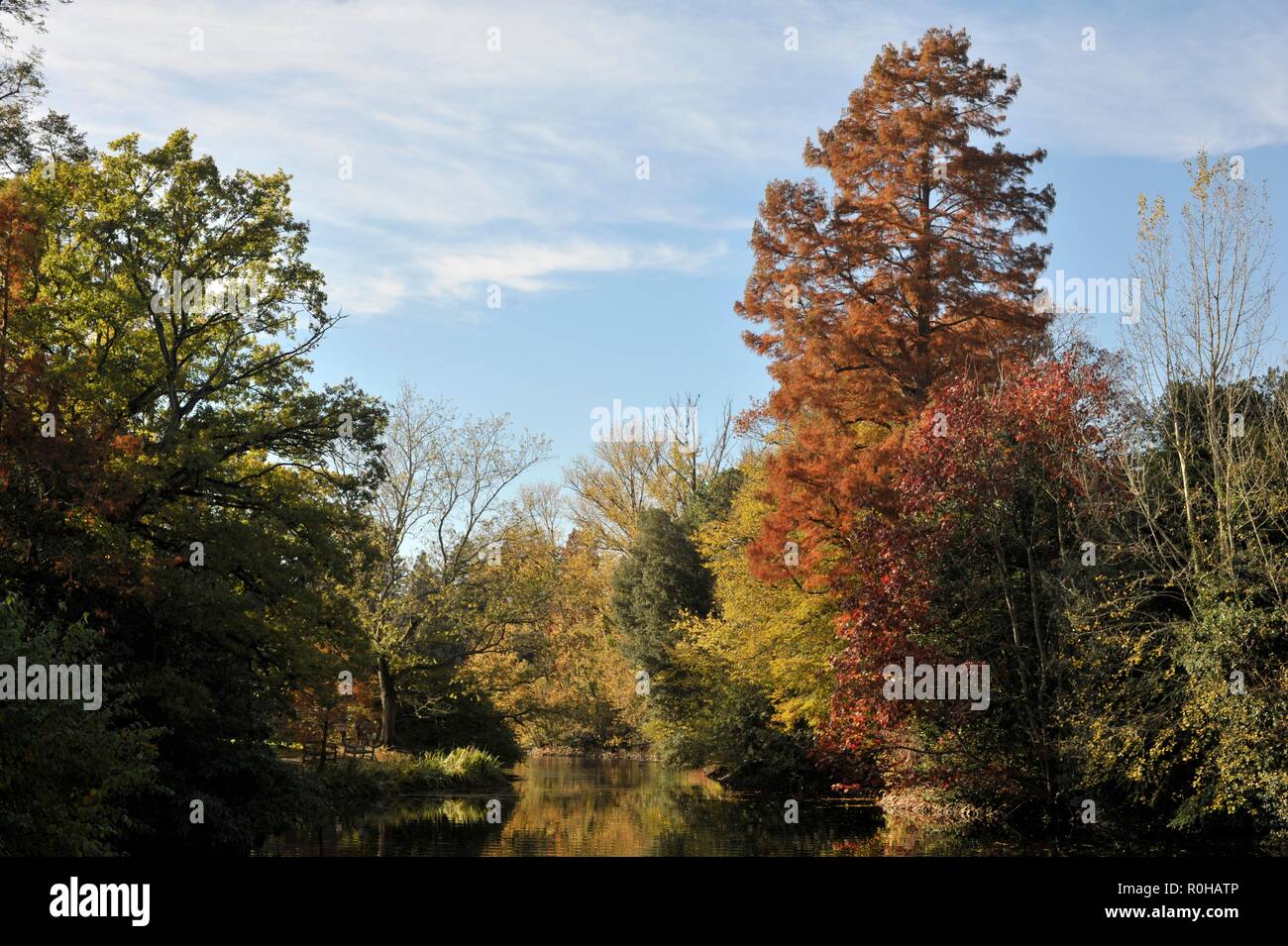 Vibrant autumn colours Stock Photo - Alamy
