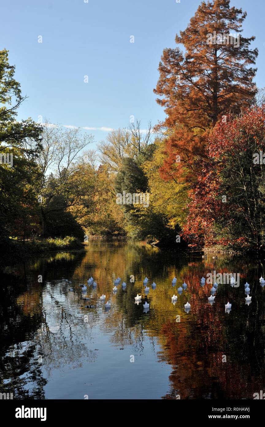 Vibrant autumn colours Stock Photo - Alamy