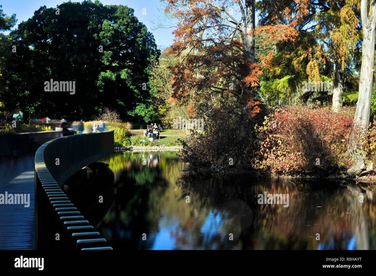 Vibrant autumn colours Stock Photo - Alamy