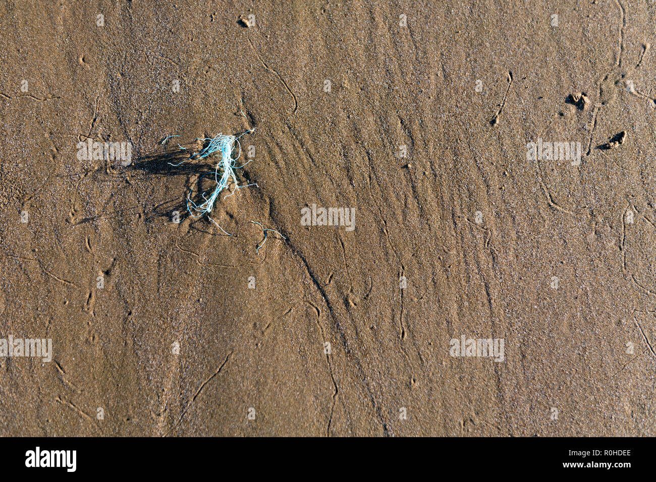 Microplastics micro plastics hi-res stock photography and images - Alamy