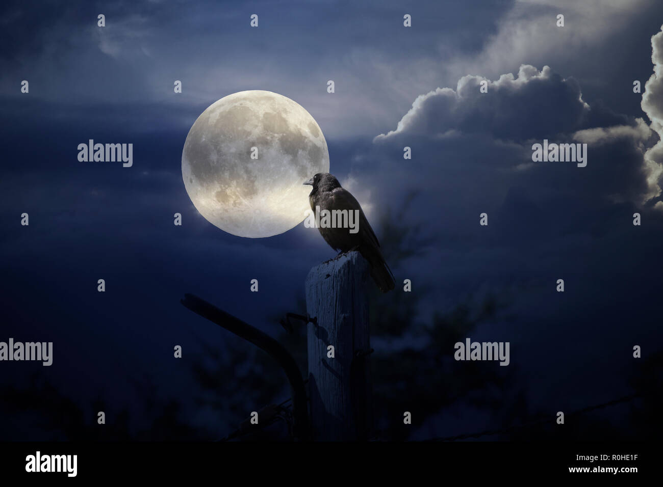 Scary crow in an overcast full moon night Stock Photo - Alamy