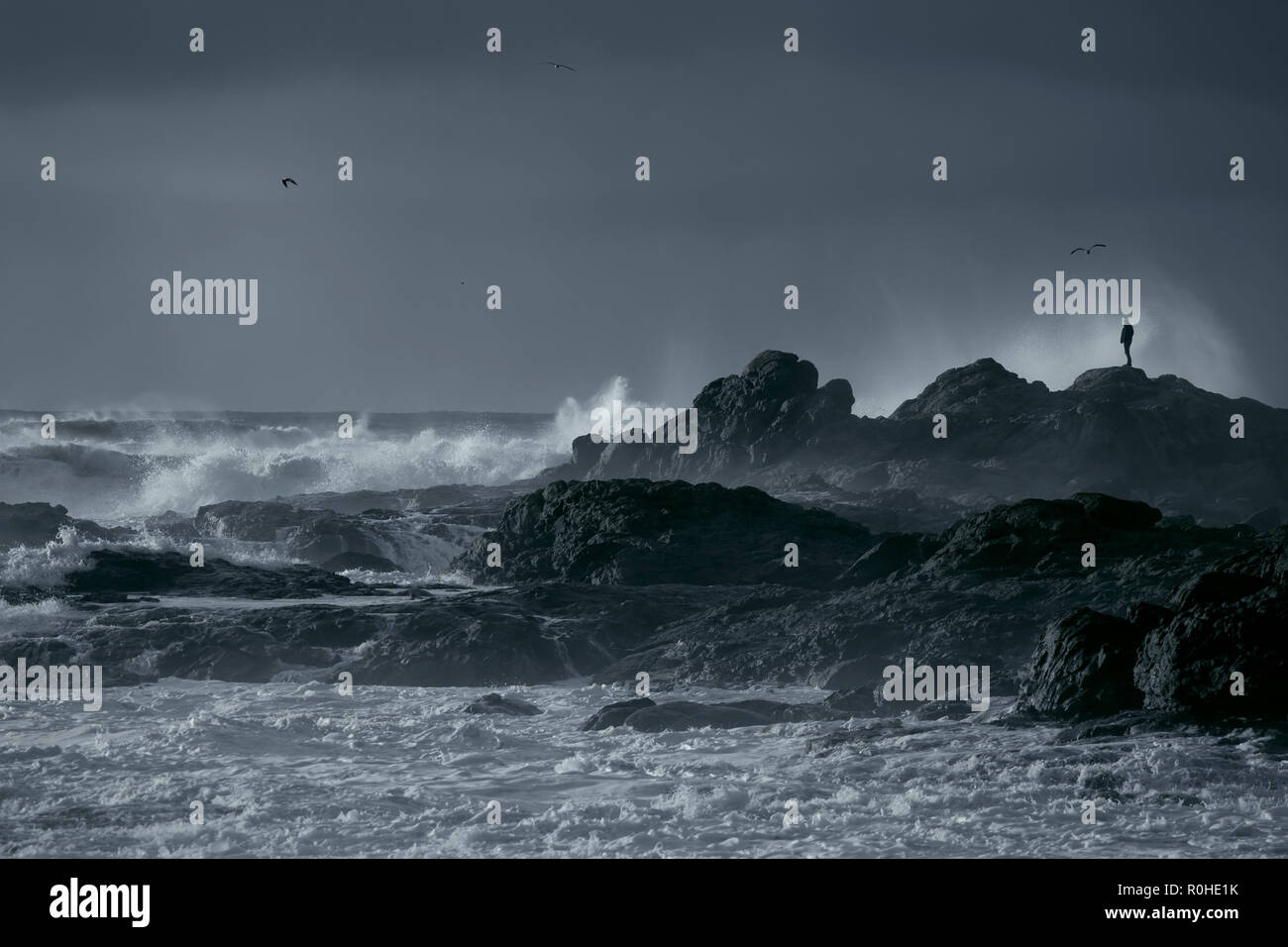 Rough looking man hi-res stock photography and images - Alamy