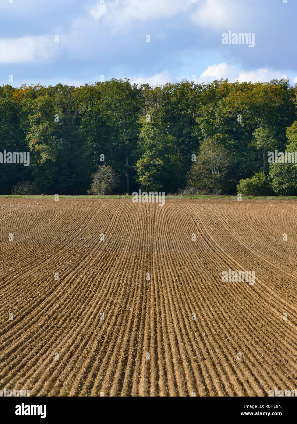 Cultivated field hi-res stock photography and images - Alamy