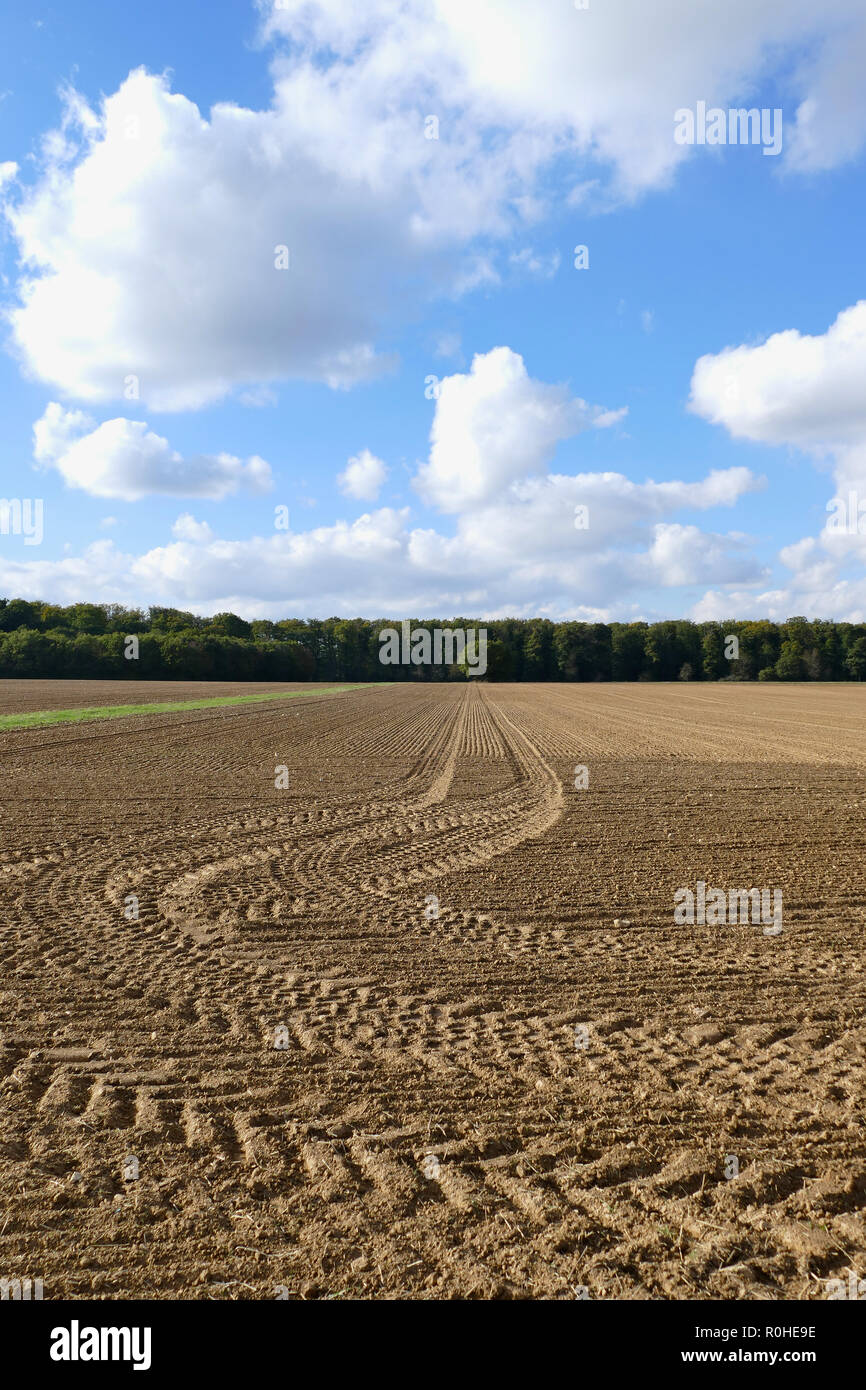 Flield hi-res stock photography and images - Alamy