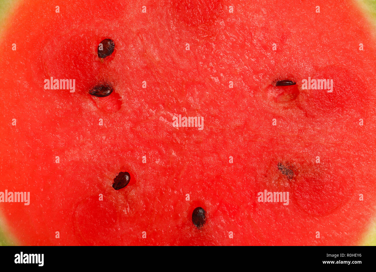 Watermelon Inside Texture