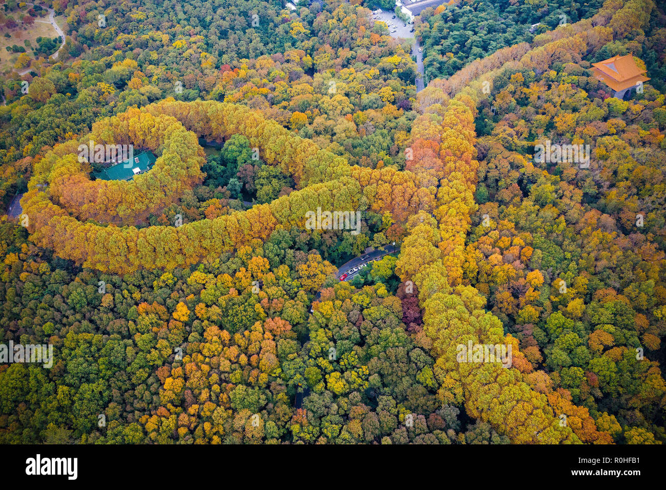 Nanjing, Nanjing, China. 5th Nov, 2018. Nanjing, CHINA-The aerial ...