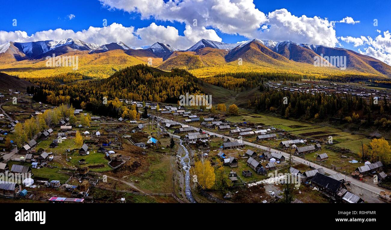 Xinjian, Xinjian, China. 5th Nov, 2018. Xinjiang, CHINA-Autumn scenery ...