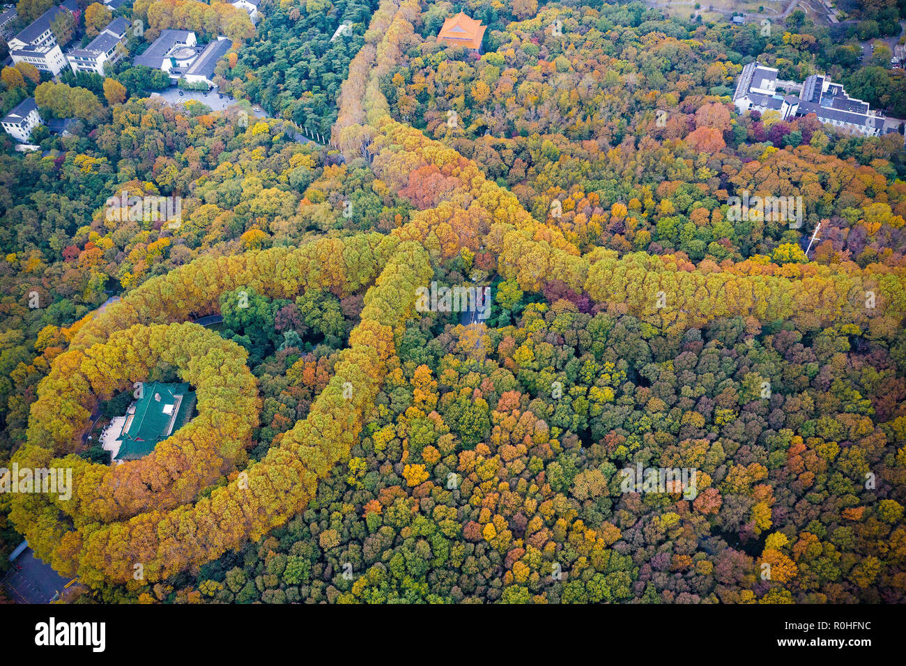 Nanjing, Nanjing, China. 5th Nov, 2018. Nanjing, CHINA-The aerial ...