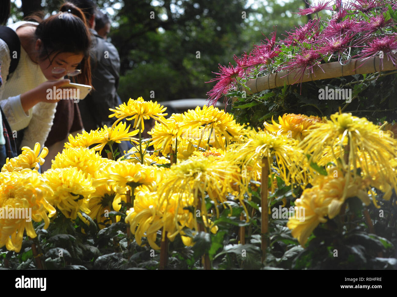 Suzhou, China's Jiangsu Province. 4th Nov, 2018. Tourists take photos ...
